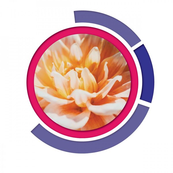 Invitation button - Interchange Illawarra